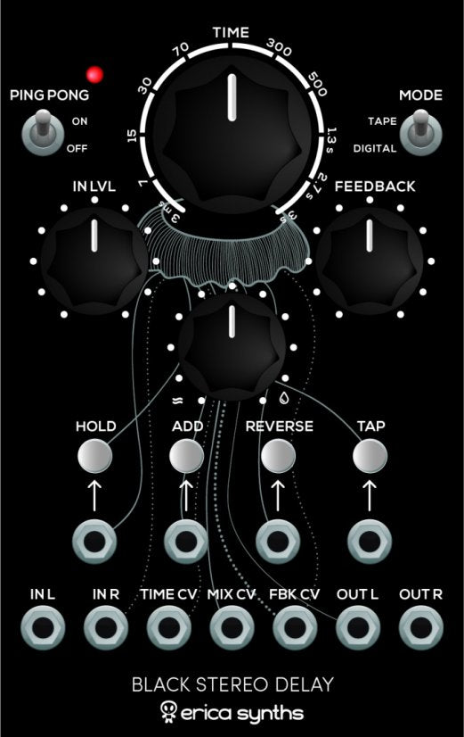 Erica Synths Black Stereo Delay – Mission Synths